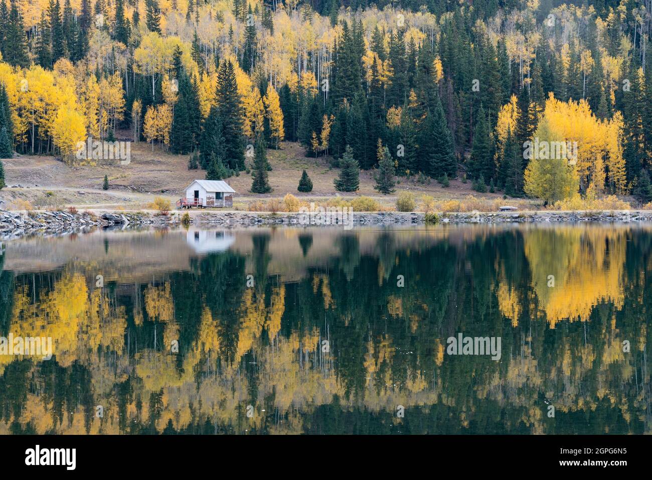 Reflection of autumn aspen trees along lake in the San Juan Mountains ...