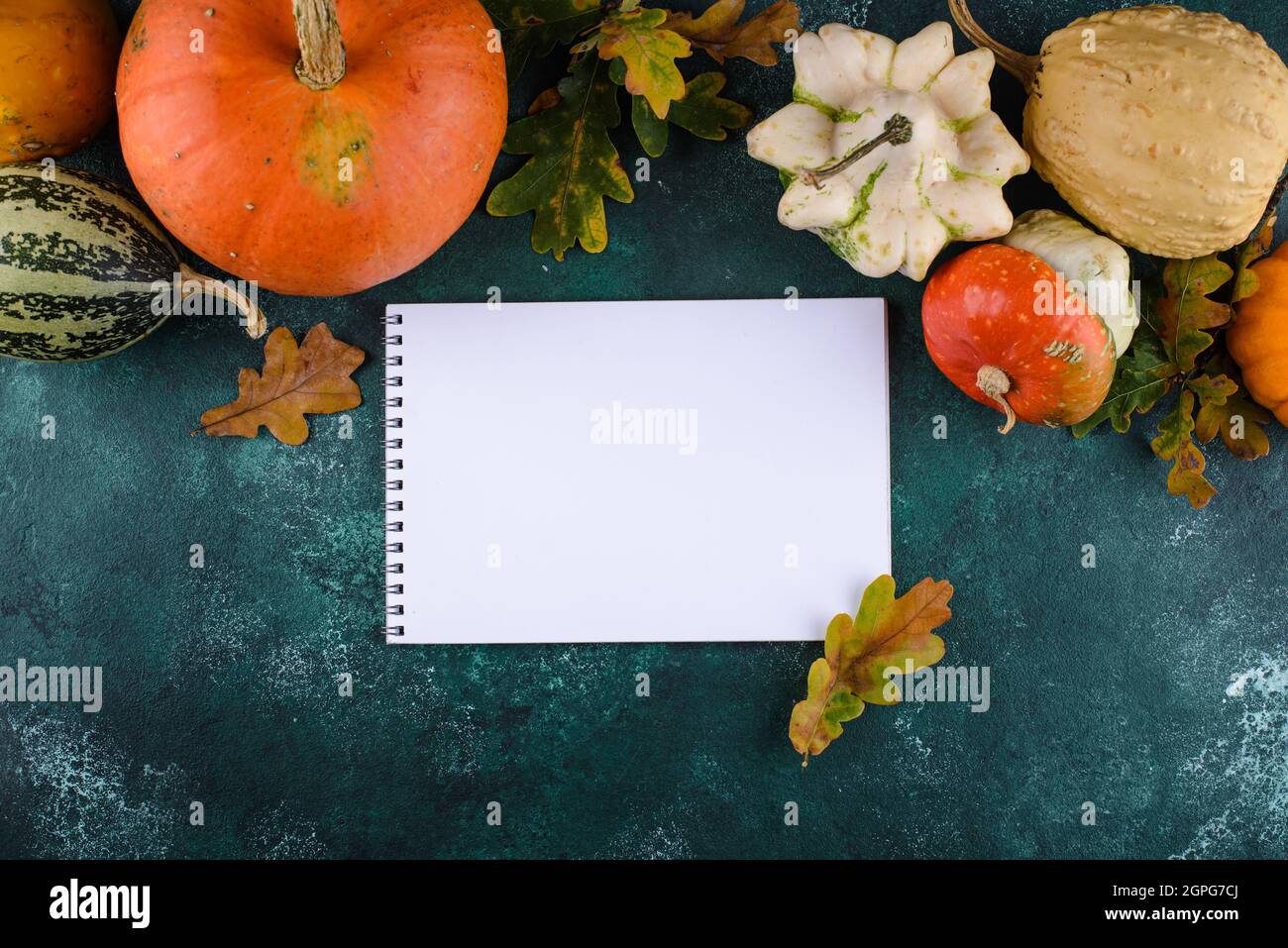 Various decorative pumpkins. Autumn harvest Stock Photo - Alamy