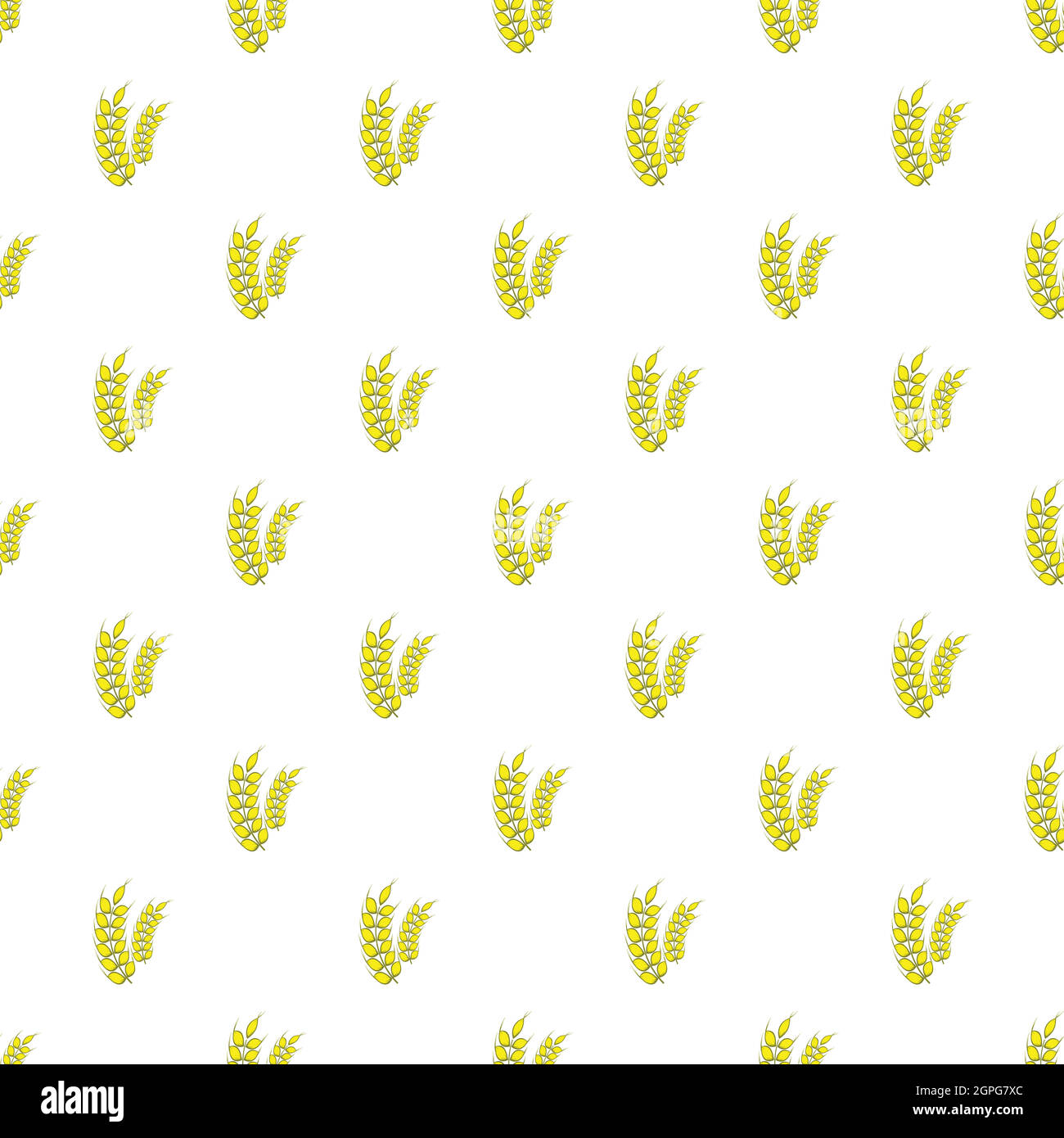 Ripe spikelets barley on Stock Vector Images - Alamy