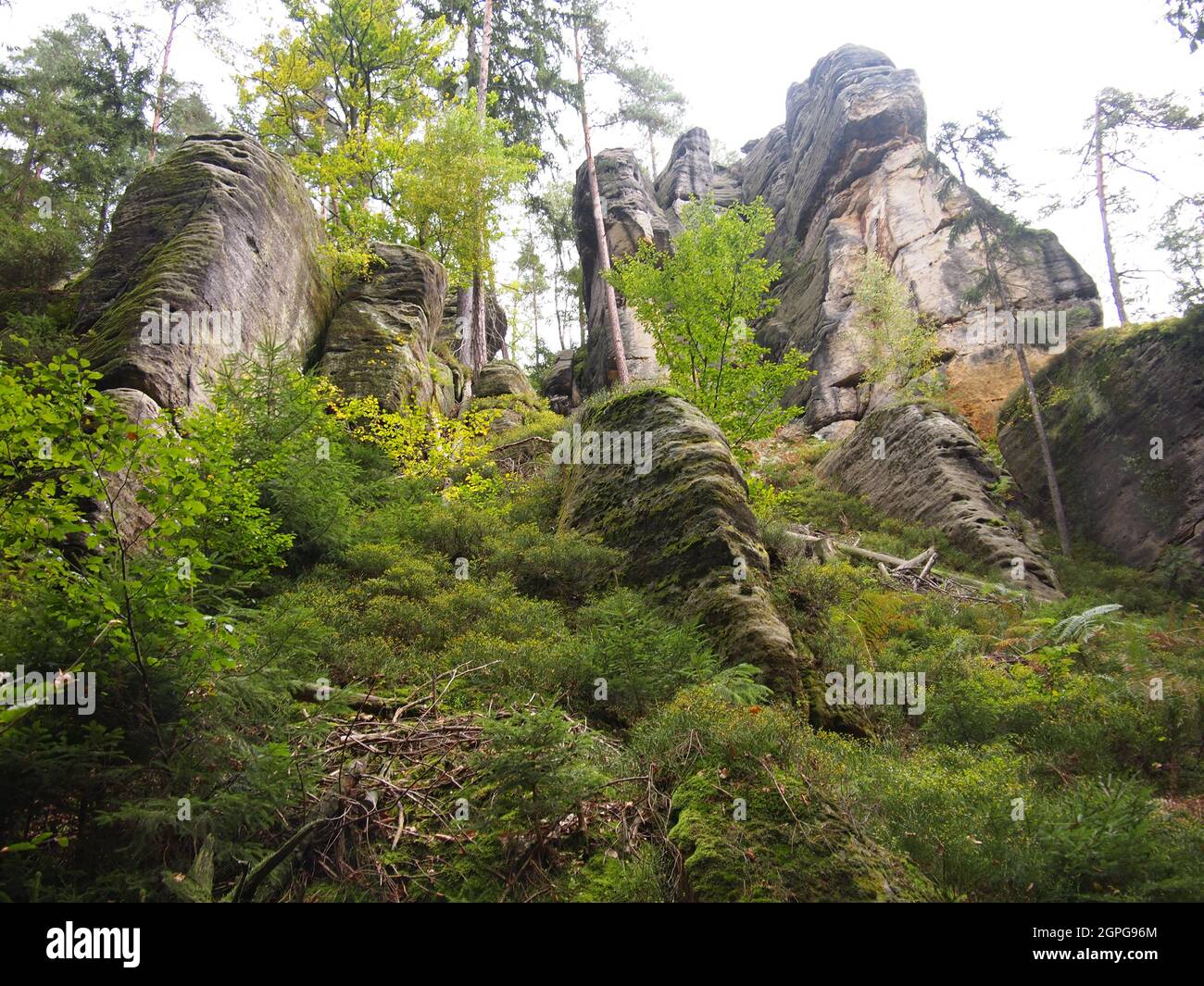 Bohemian national park hi-res stock photography and images - Alamy