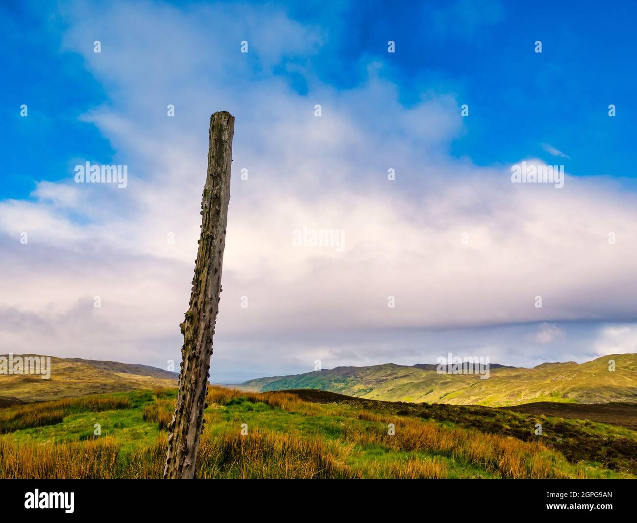 Wishing tree stump with coins for good luck on moorland hill top, Isle ...