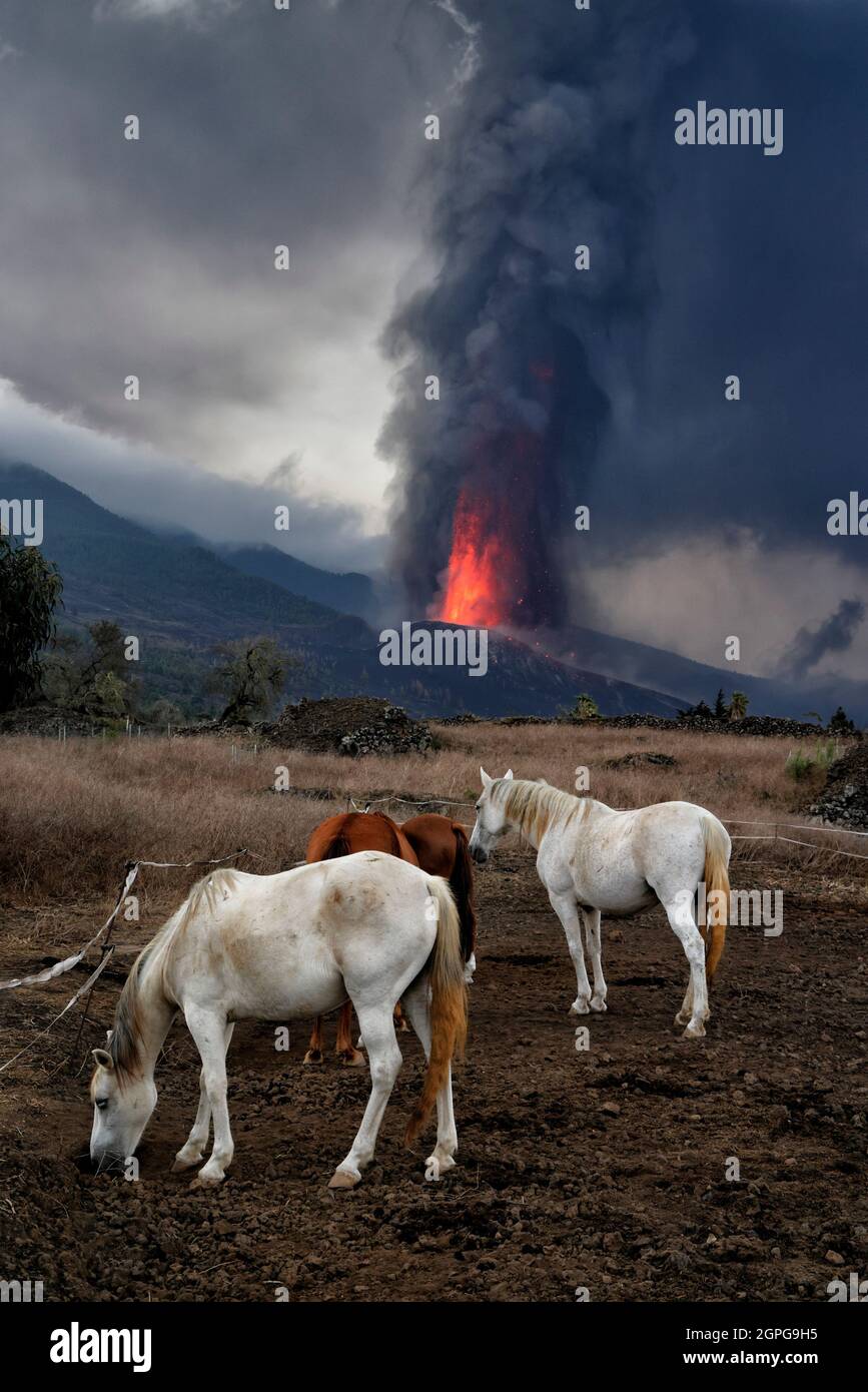 Madrid. 24th Sep, 2021. Photo taken on Sept. 24, 2021 shows the scene ...