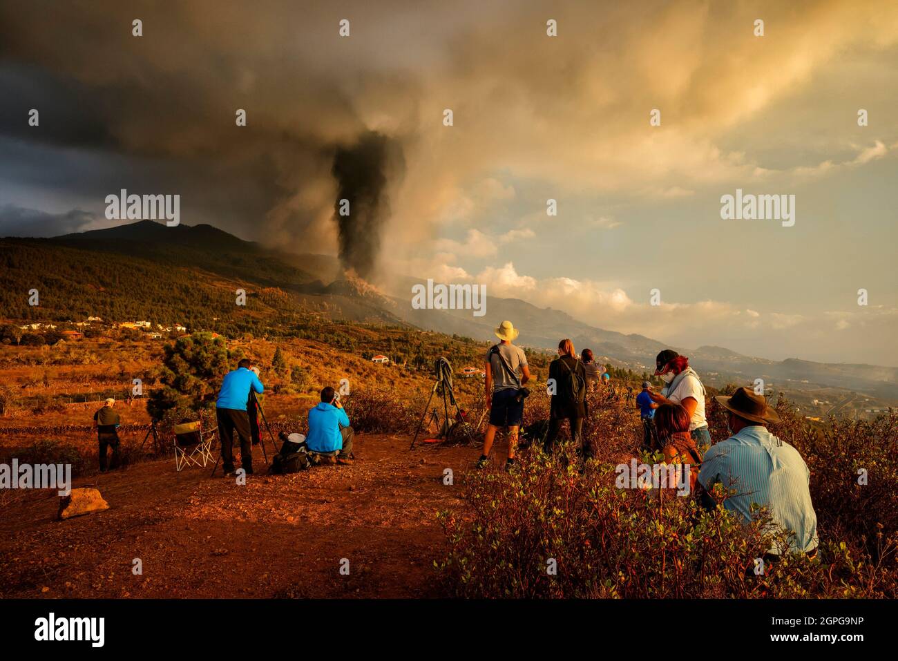 Oriol alamany hi-res stock photography and images - Alamy
