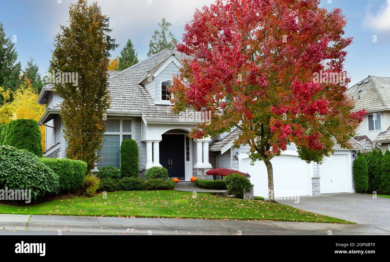 Suburban modern home during early autumn as leaves turn yellow and red ...