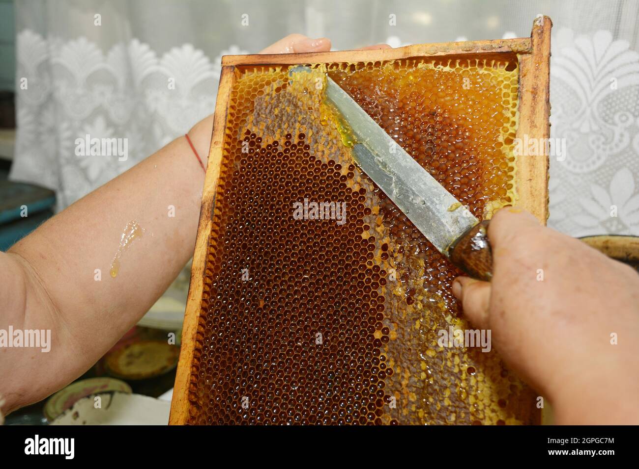 Bee knife hi-res stock photography and images - Alamy