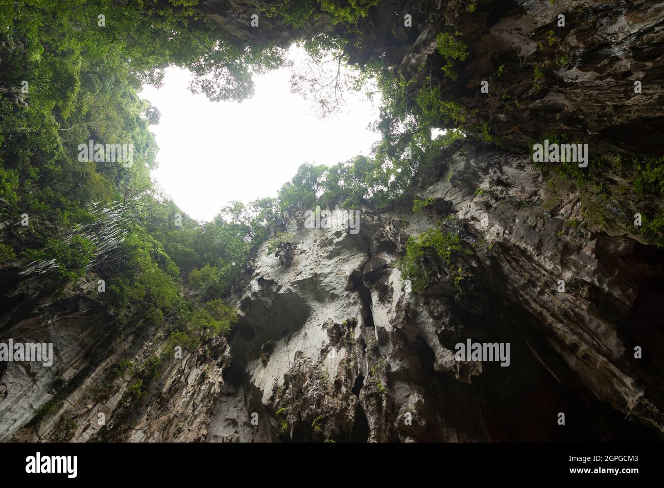 Karst rock formations covered in vegetation, from inside the Batu Caves ...