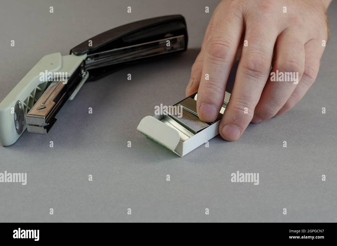 Hand stapler and box of staples against gray background. Man pul Stock ...