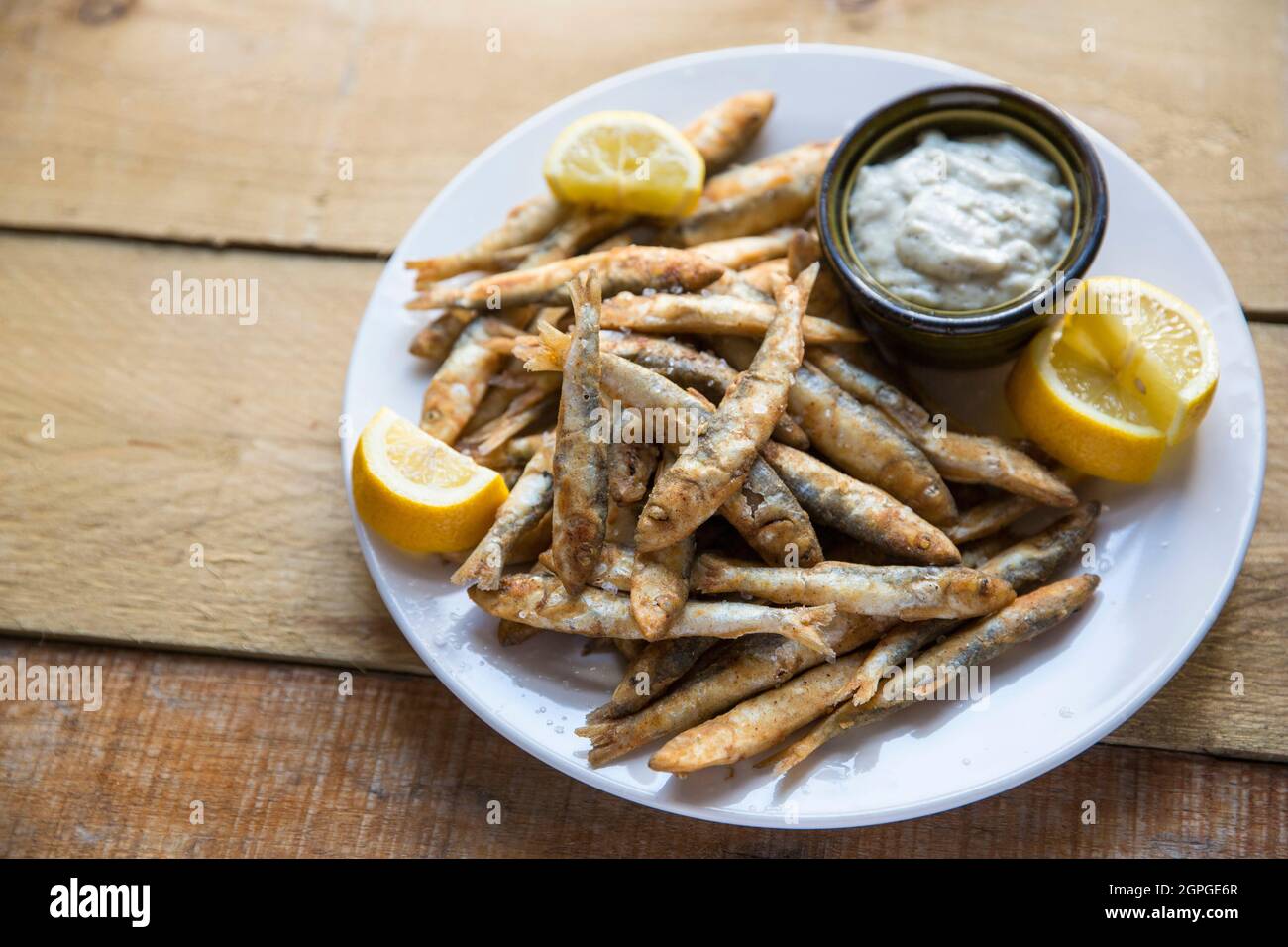 Shoaling fish hi-res stock photography and images - Alamy