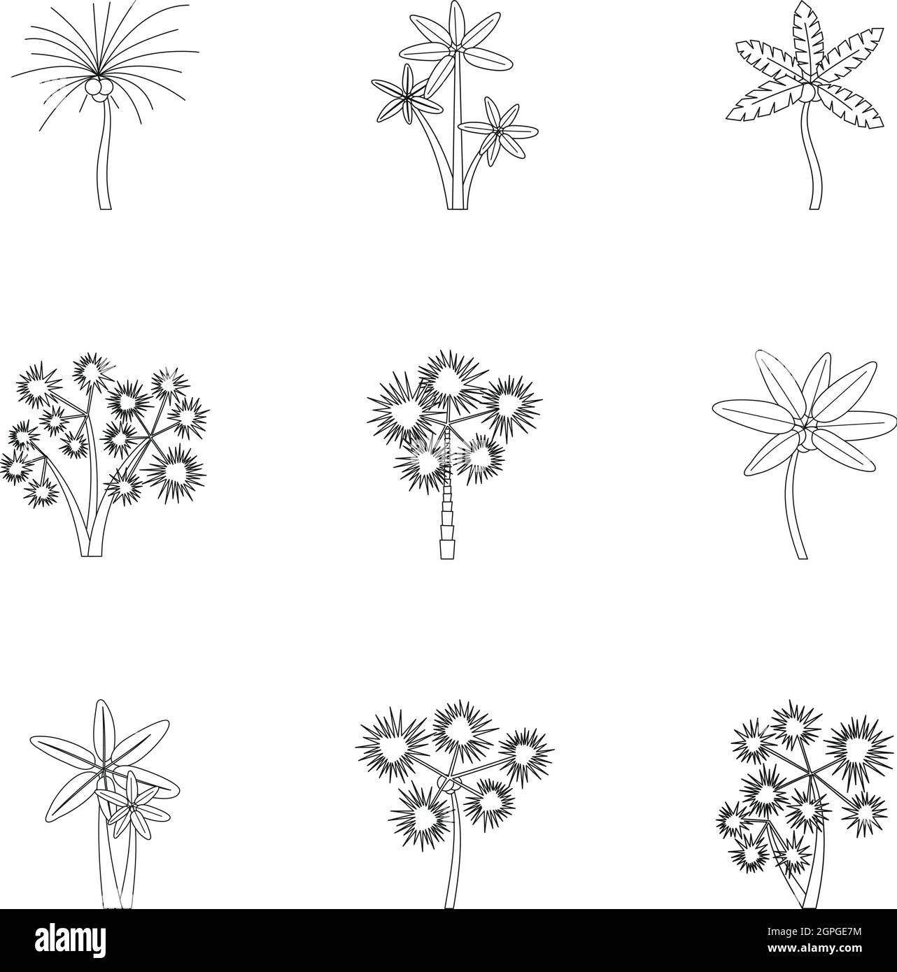 Palm leaves set Black and White Stock Photos & Images - Alamy