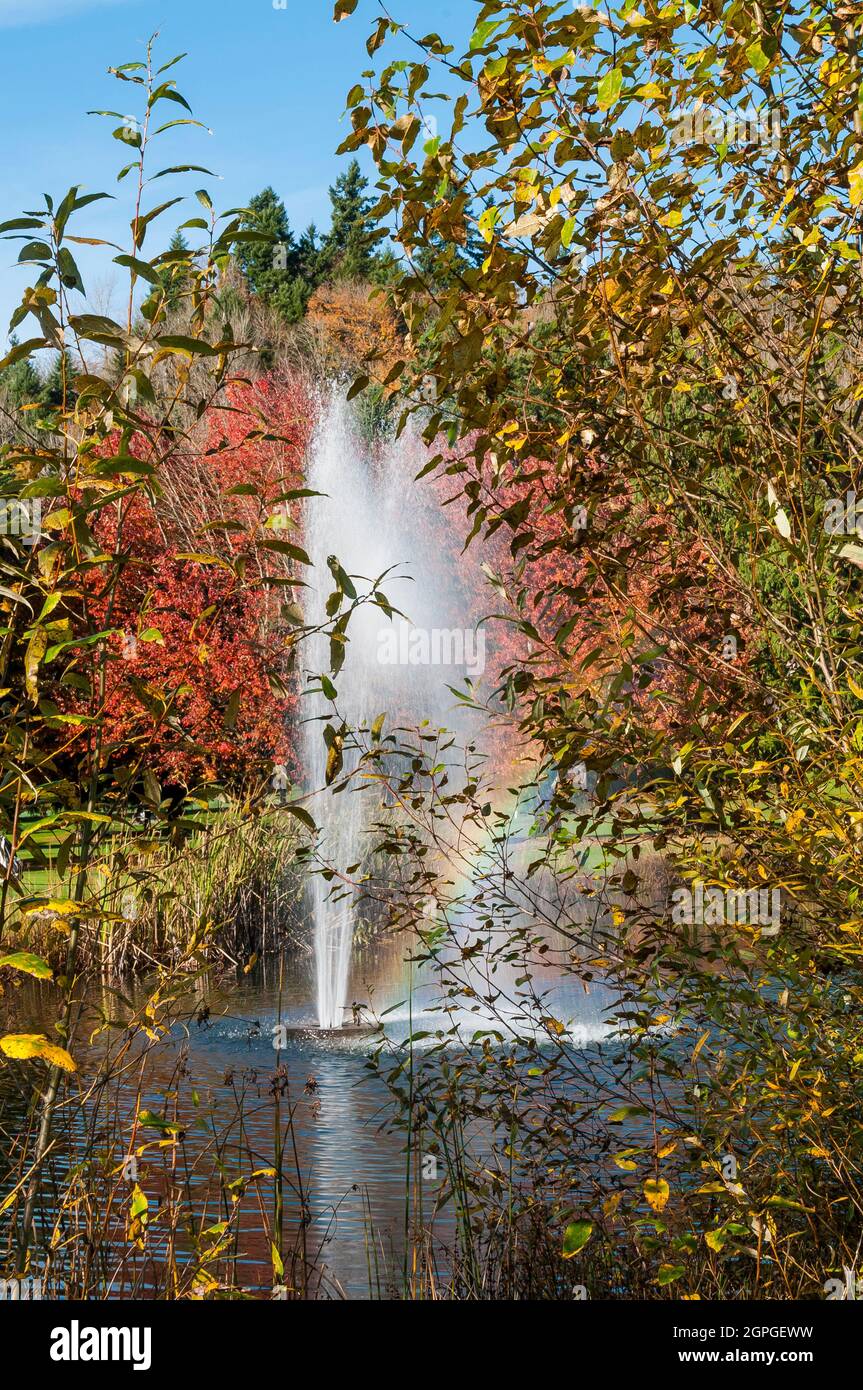 Water fountain feature at a golf course in Fairwood, Washington Stock ...