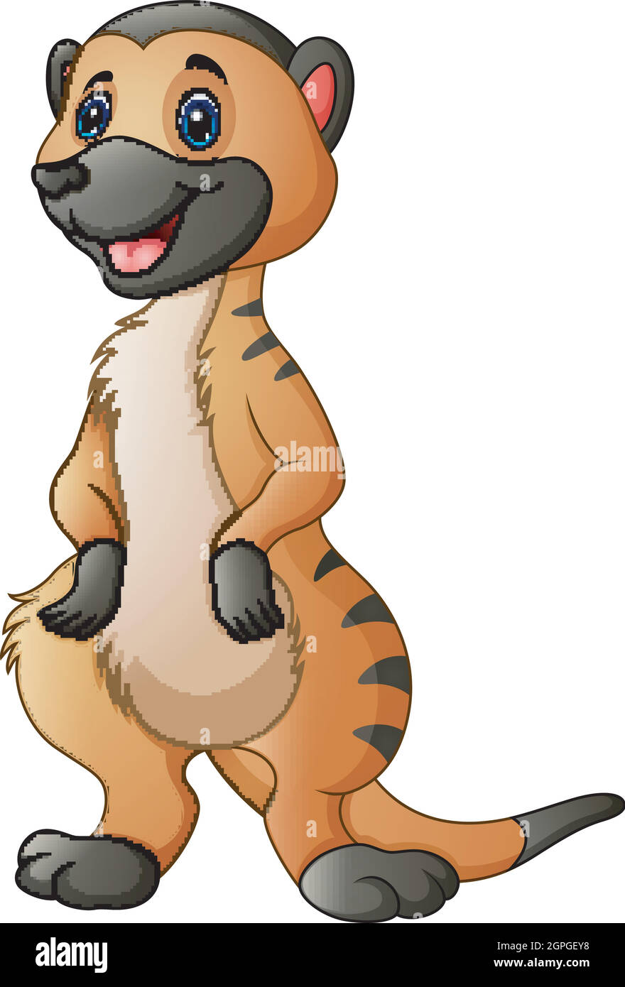 Cute meerkat cartoon Stock Vector Image & Art - Alamy