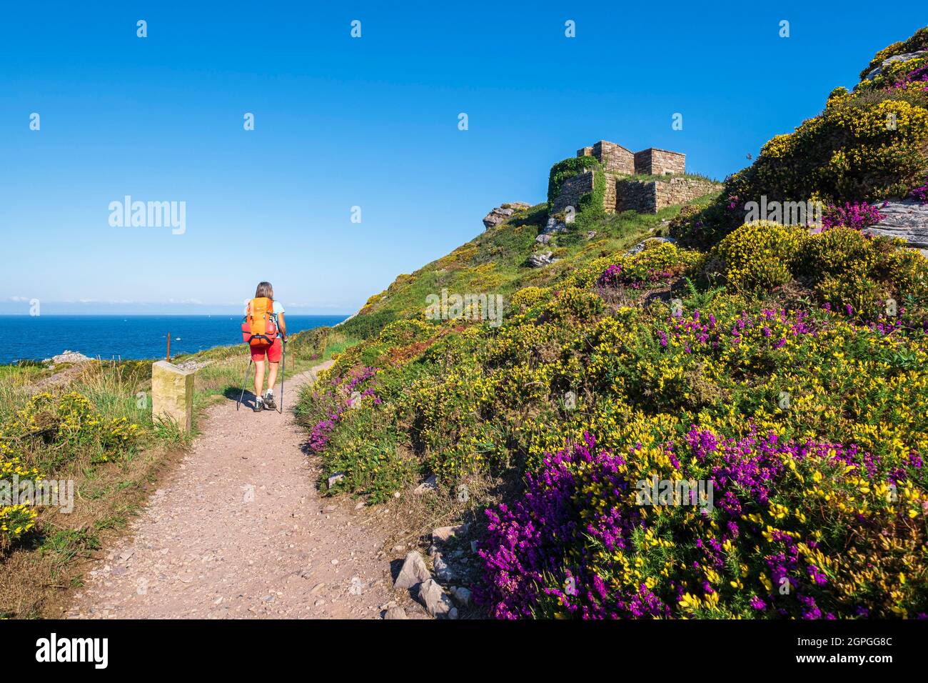 France, Cotes d'Armor, Erquy, protected natural site of Cap d'Erquy ...