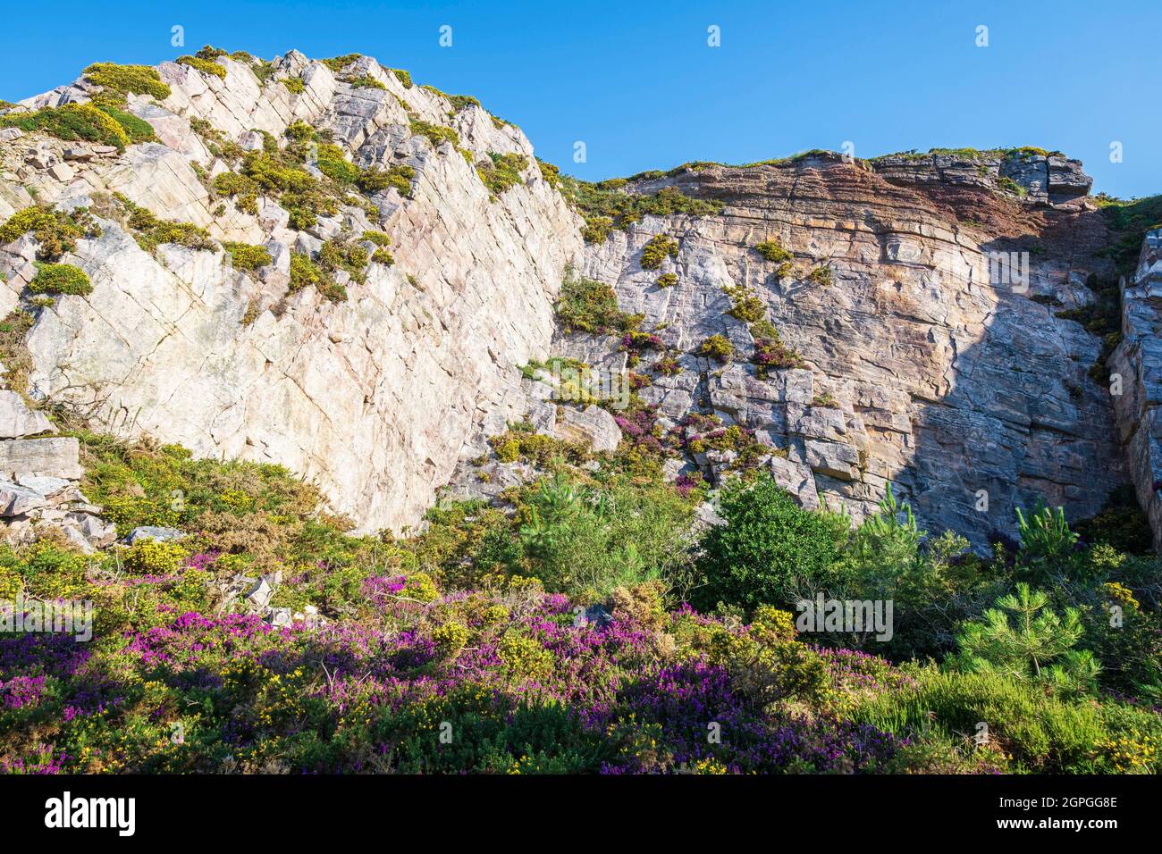 France, Cotes d'Armor, Erquy, protected natural site of Cap d'Erquy ...