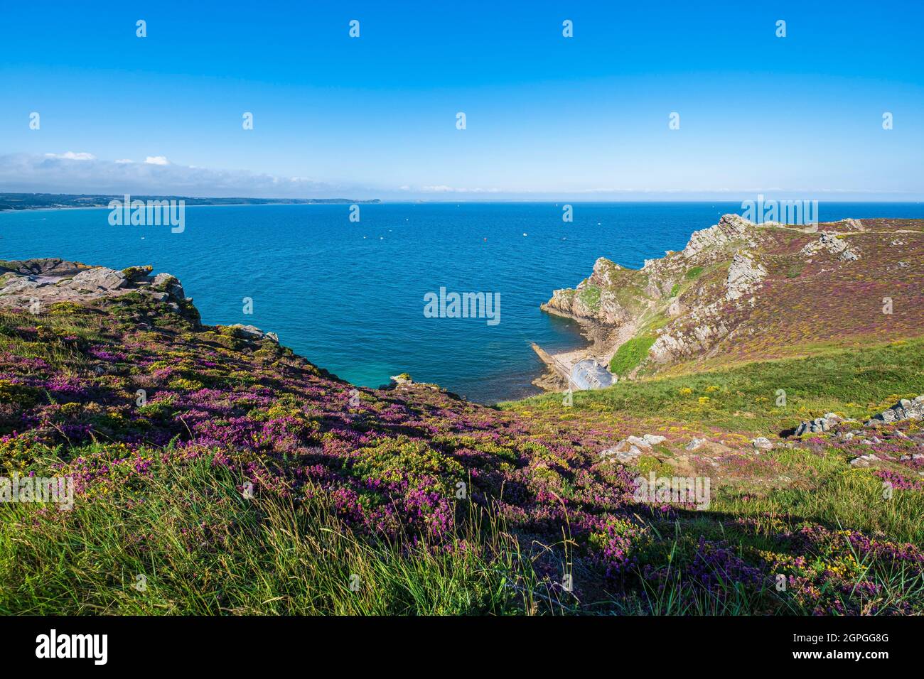 France, Cotes d'Armor, Erquy, protected natural site of Cap d'Erquy ...