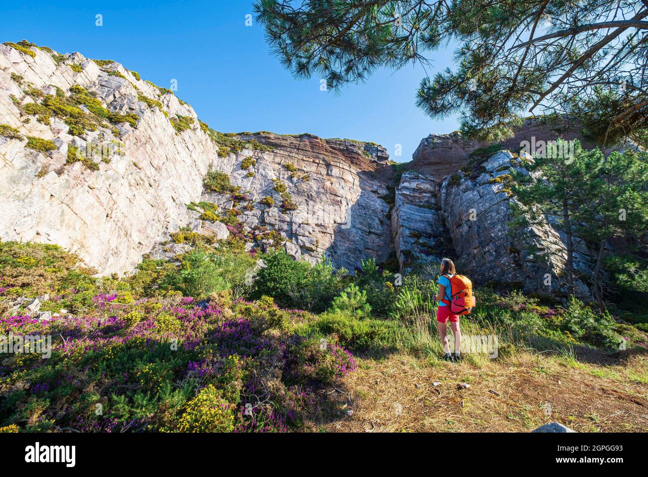 France, Cotes d'Armor, Erquy, protected natural site of Cap d'Erquy ...