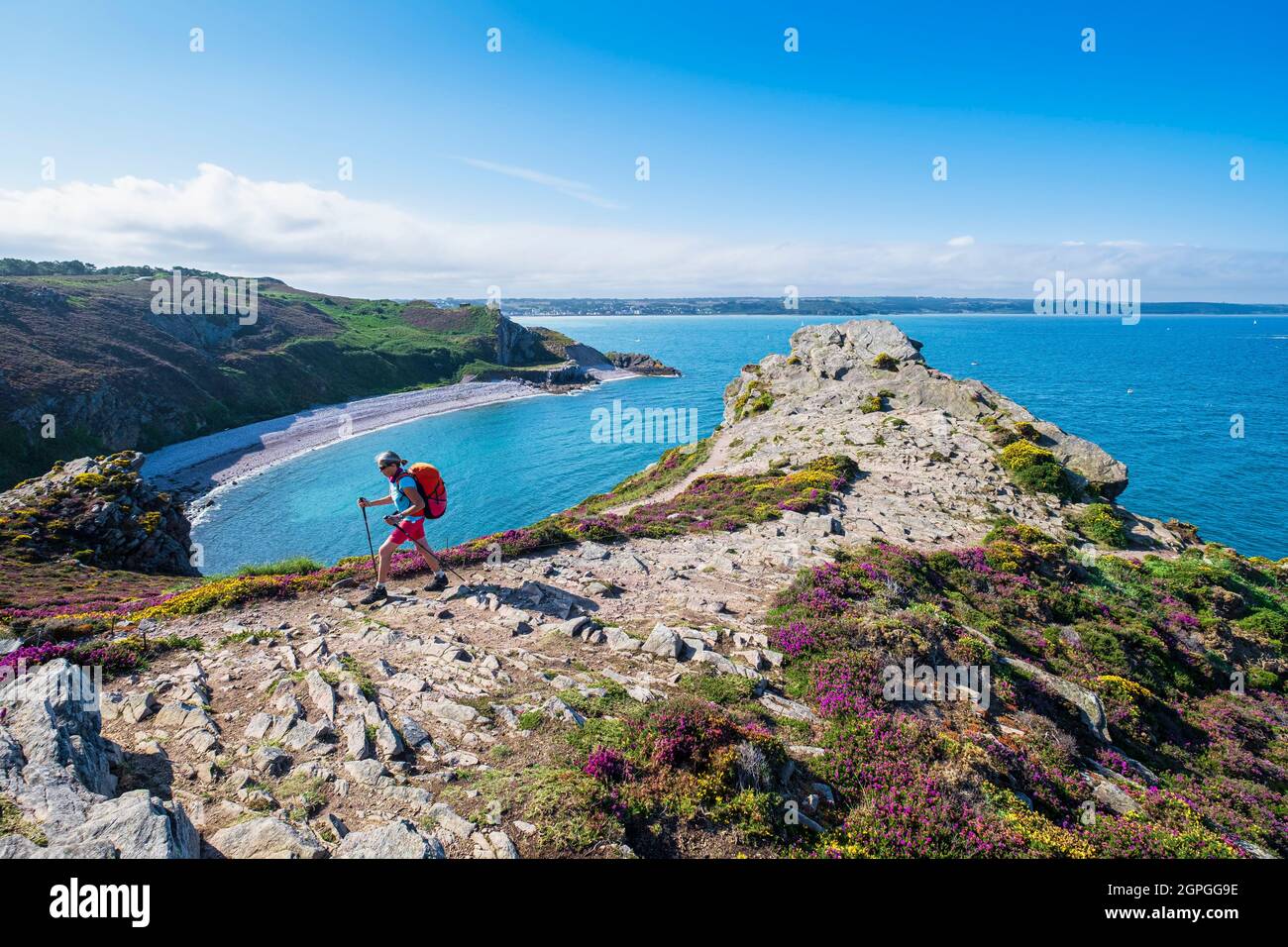 France, Cotes d'Armor, Erquy, protected natural site of Cap d'Erquy ...