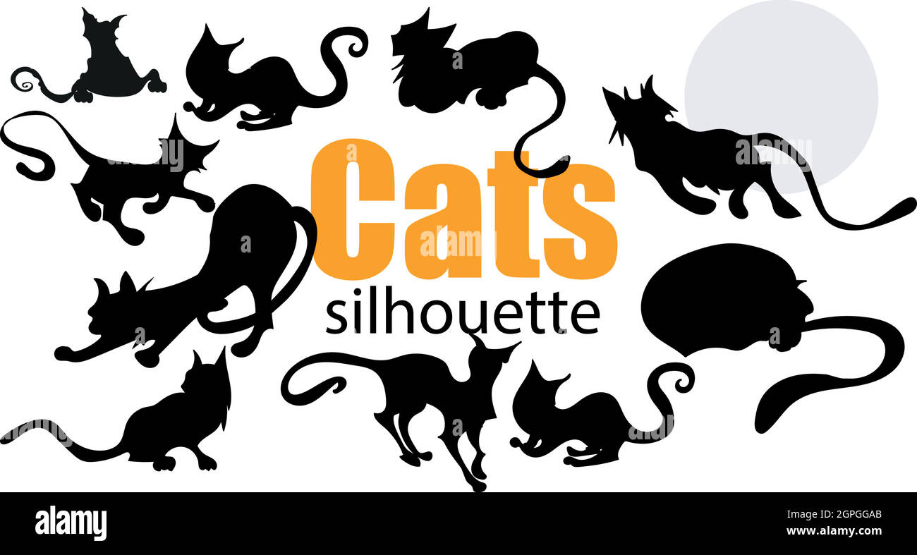 Kitten in different poses hi-res stock photography and images - Alamy