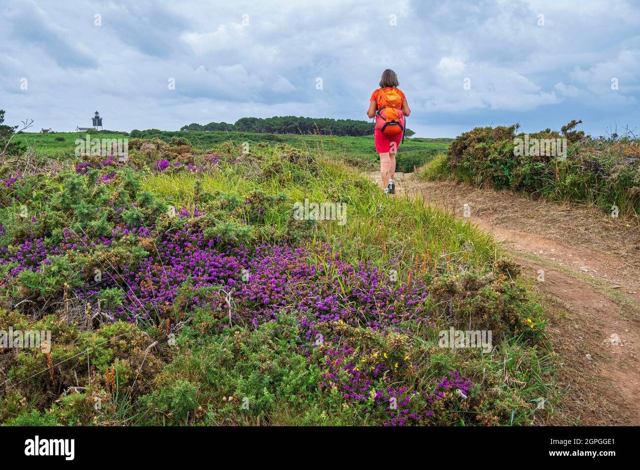 France, Morbihan, Groix Island, hike along the coastal path, Pen Men ...