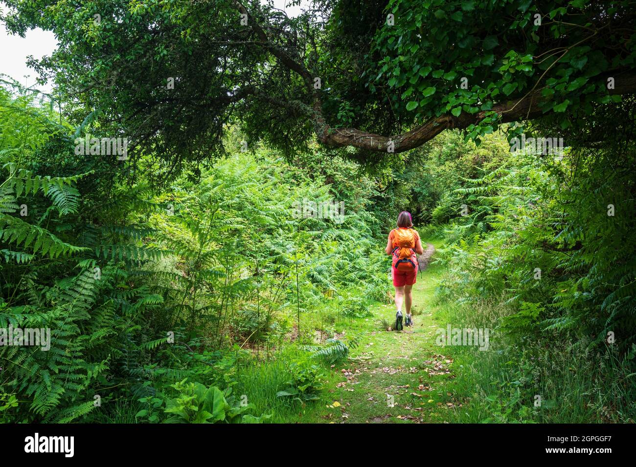France, Morbihan, Groix Island, hike along the coastal path Stock Photo ...