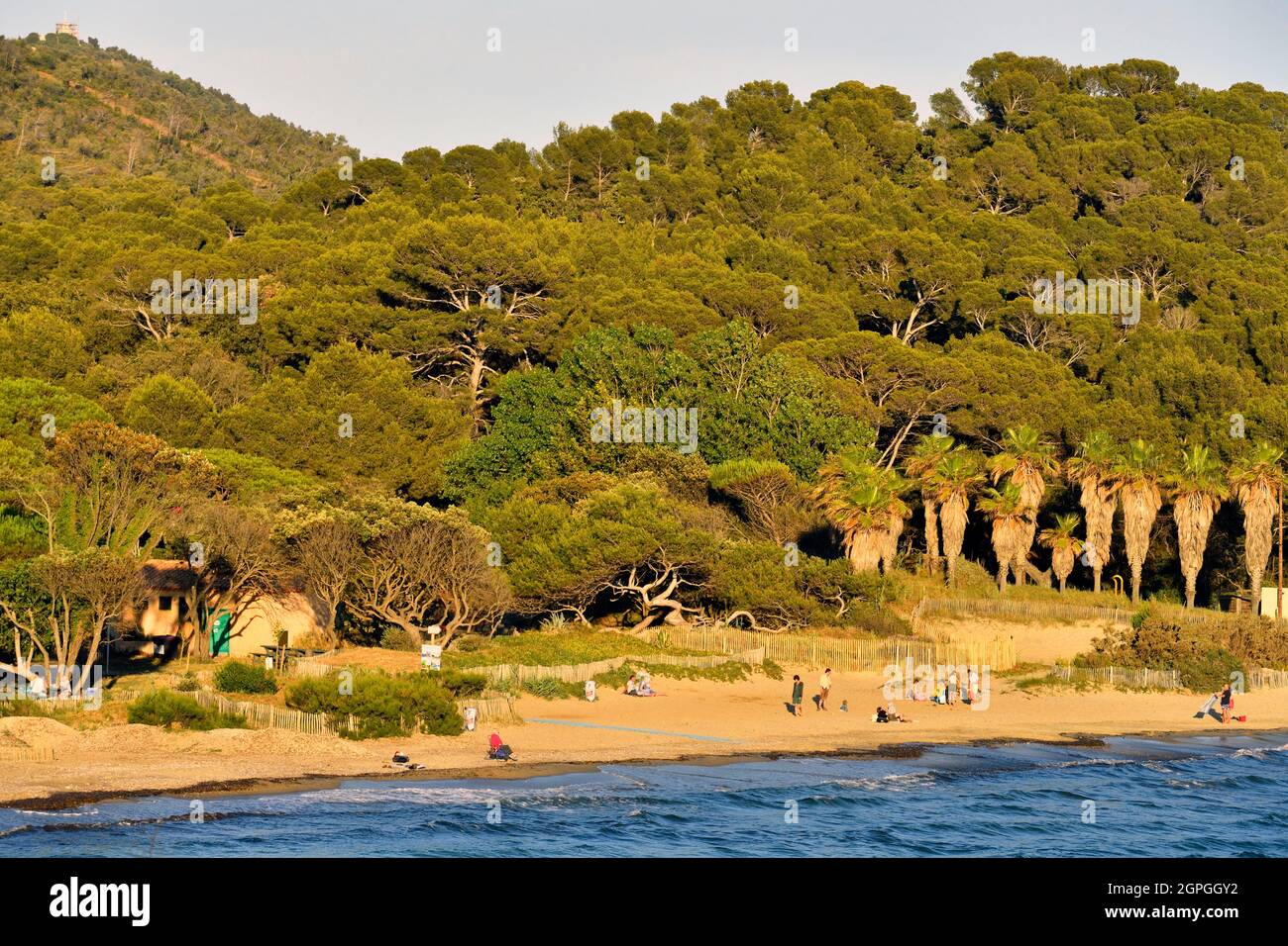 France, Var, Bormes les Mimosas, Cabasson beach Stock Photo - Alamy