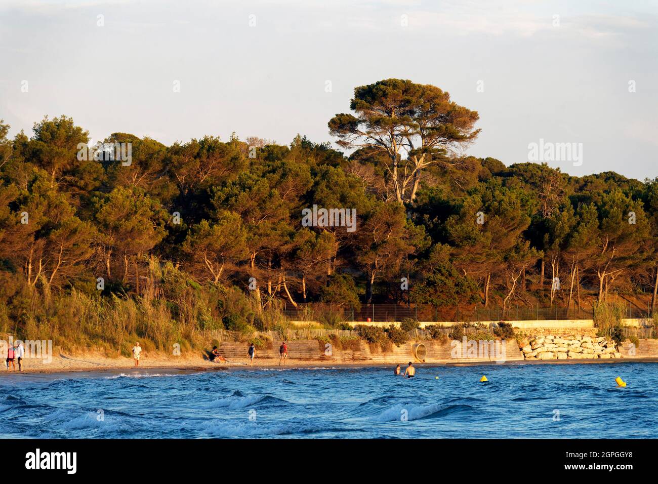 France, Var, Bormes les Mimosas, Cabasson beach Stock Photo - Alamy
