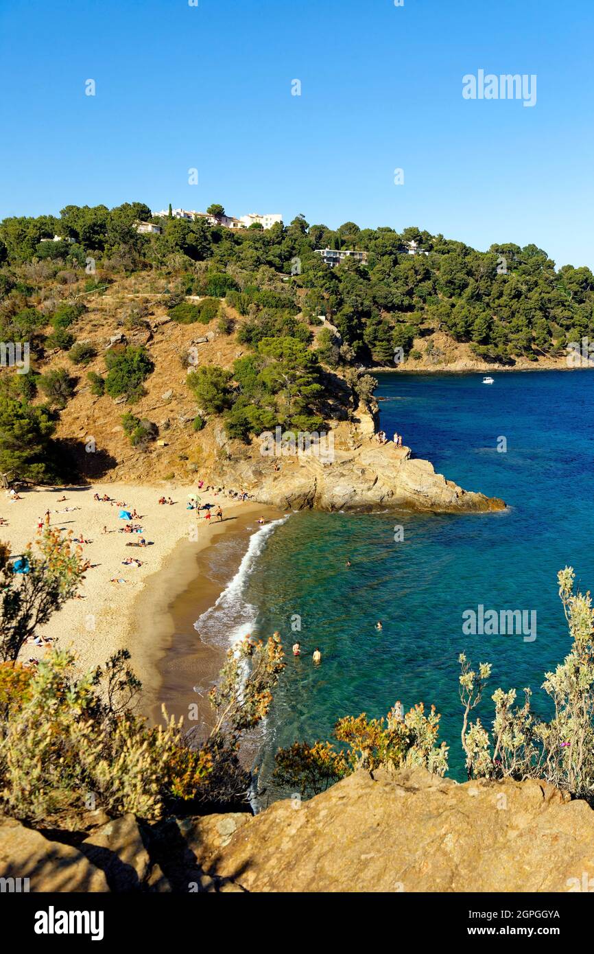 La France Var Cavalaire Sur Mer Plage Bonporteau Photo Photo Aérienne