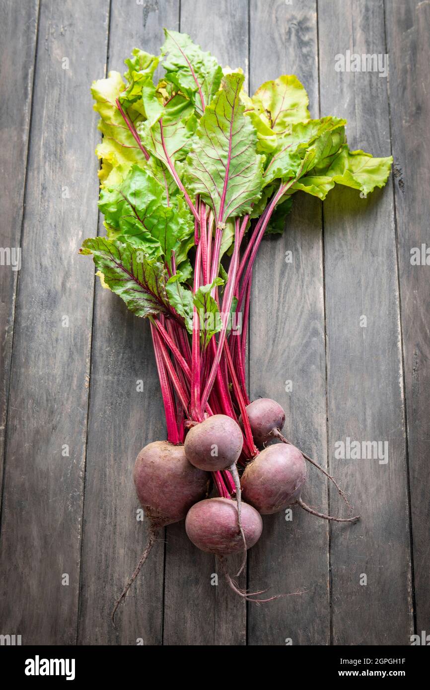 Still life leaf hi-res stock photography and images - Alamy