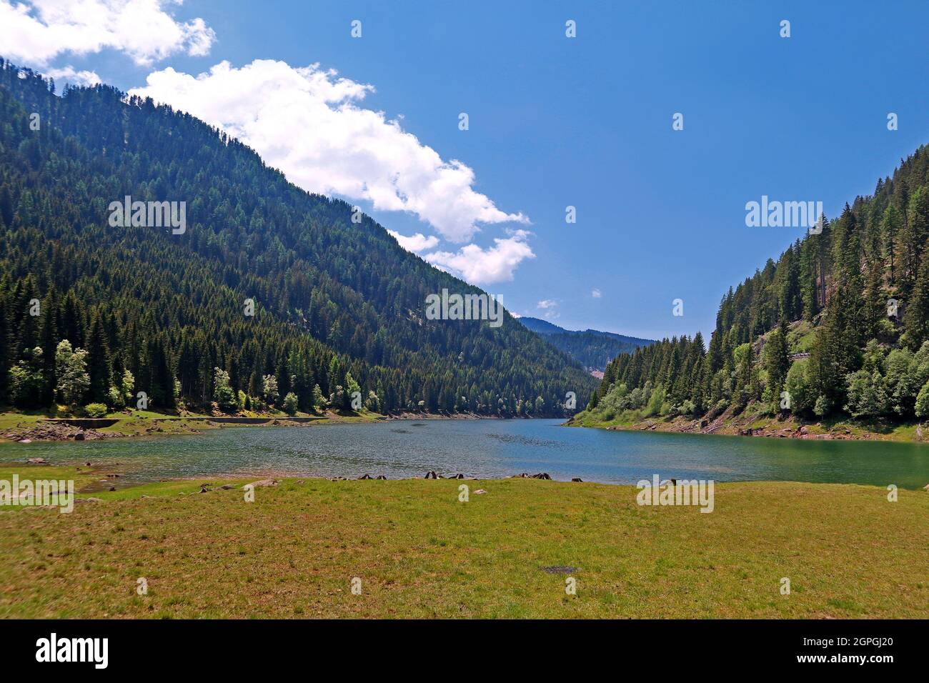 Paneveggio - Pale di San Martino natural park : Paneveggio lake Stock ...