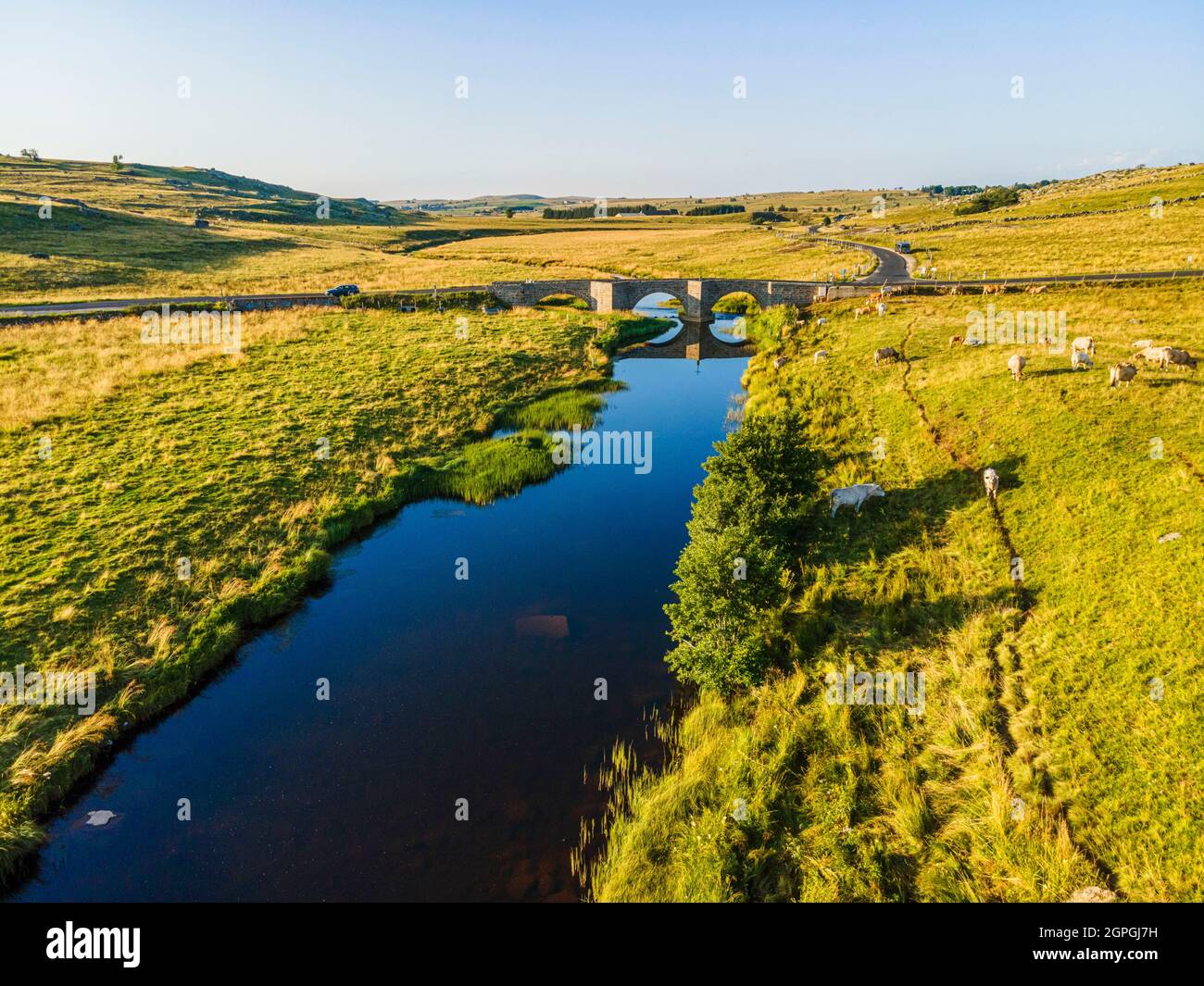 Regional natural parc of aubrac hi-res stock photography and images - Alamy