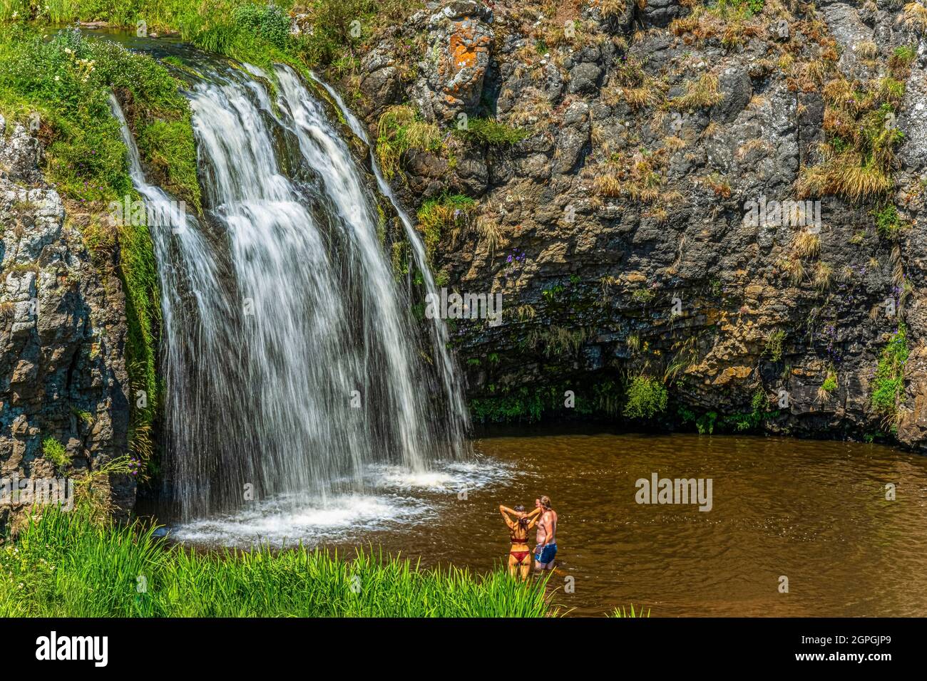 France, Auvergne, Cantal, Allanche, Regional Natural Park of the ...