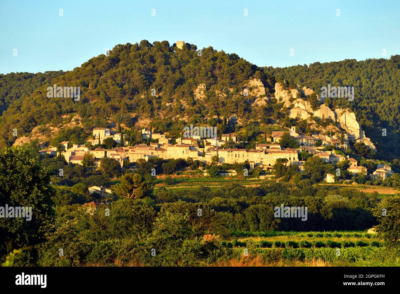 France, Vaucluse, Pays des Dentelles de Montmirail district, the ...