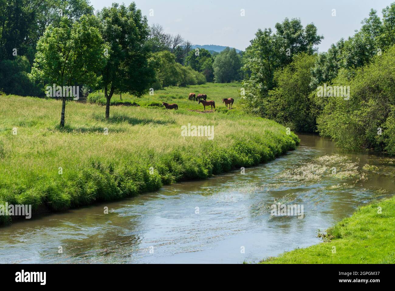 Ognon france hi-res stock photography and images - Alamy
