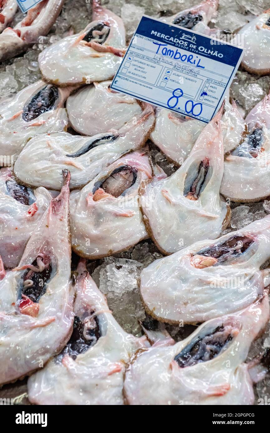 Fish types hi-res stock photography and images - Alamy