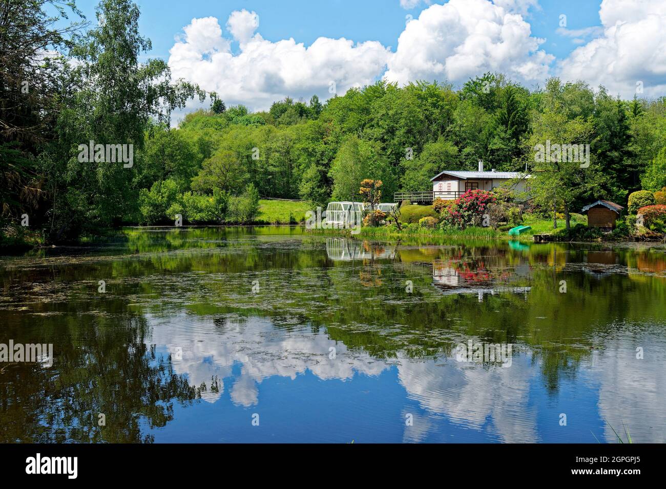 France, Haute Saone, Thousand Ponds Plateau (Plateau des Mille étangs ...