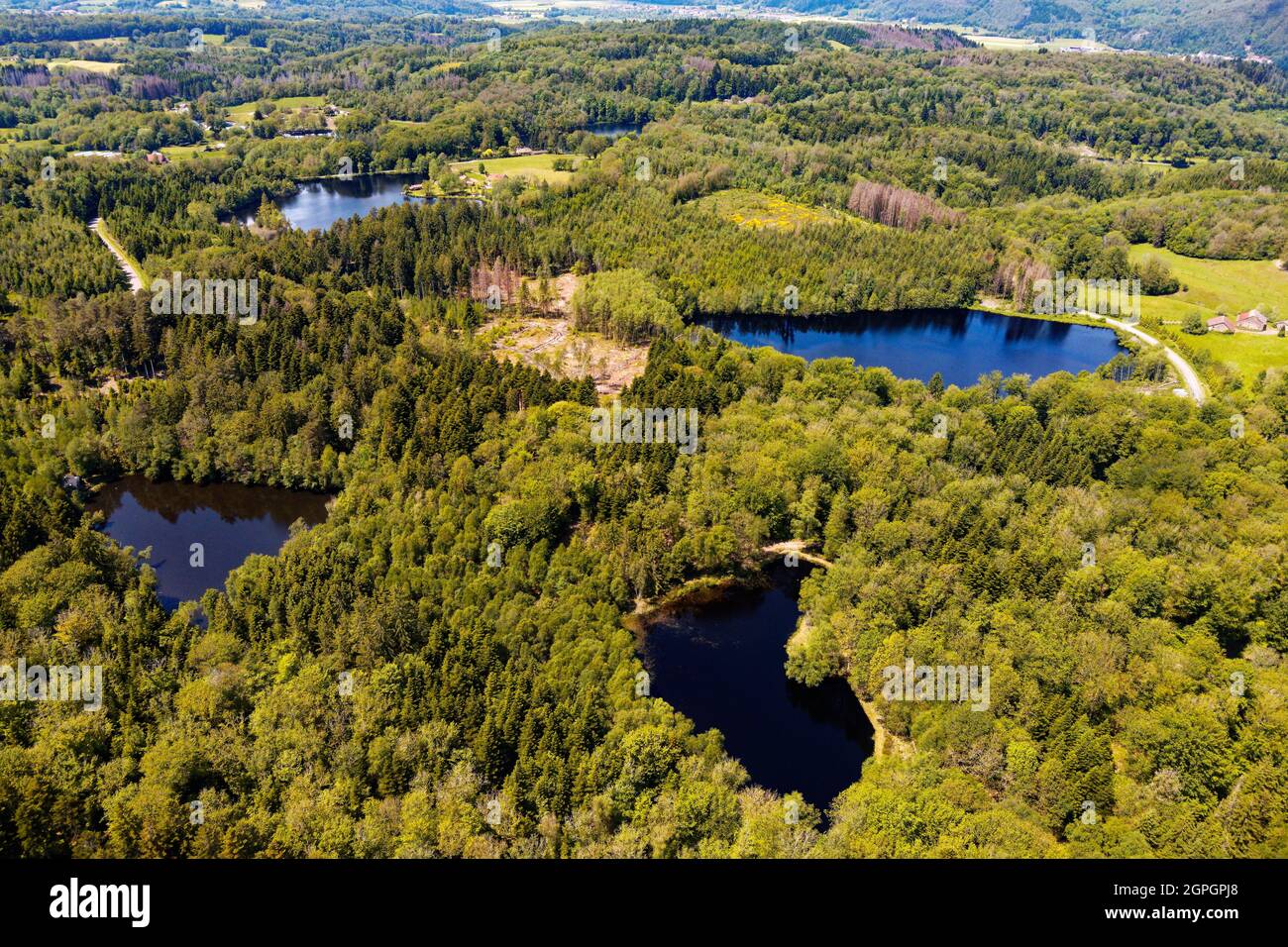 France, Haute Saone, Thousand Ponds Plateau (Plateau des Mille étangs ...