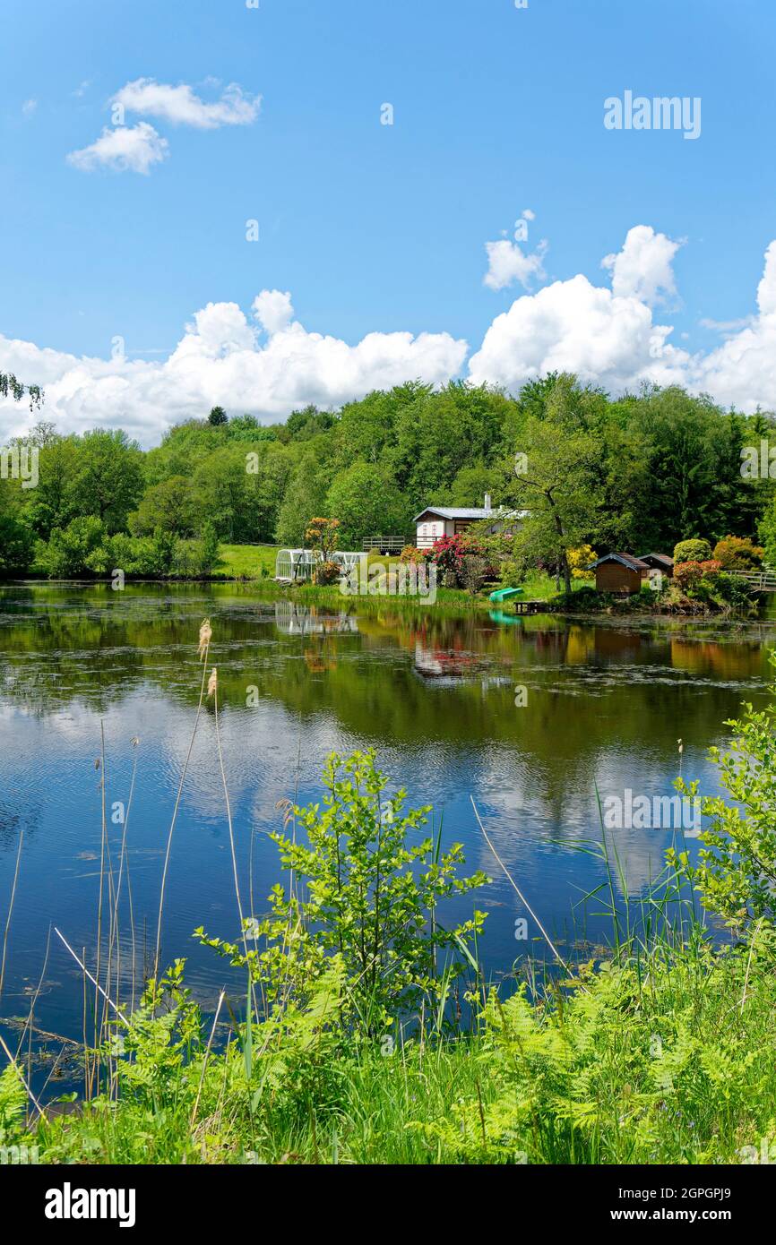 France, Haute Saone, Thousand Ponds Plateau (Plateau des Mille étangs ...