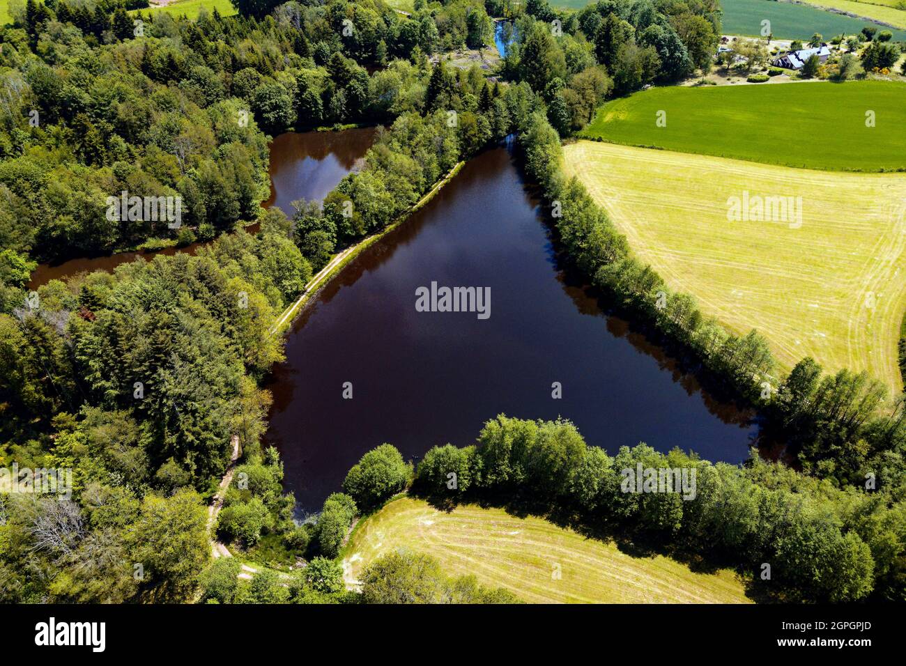 France, Haute Saone, Thousand Ponds Plateau (Plateau des Mille étangs ...