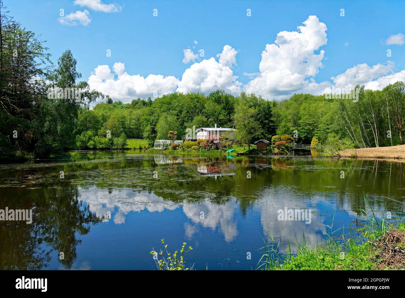France, Haute Saone, Thousand Ponds Plateau (Plateau des Mille étangs ...
