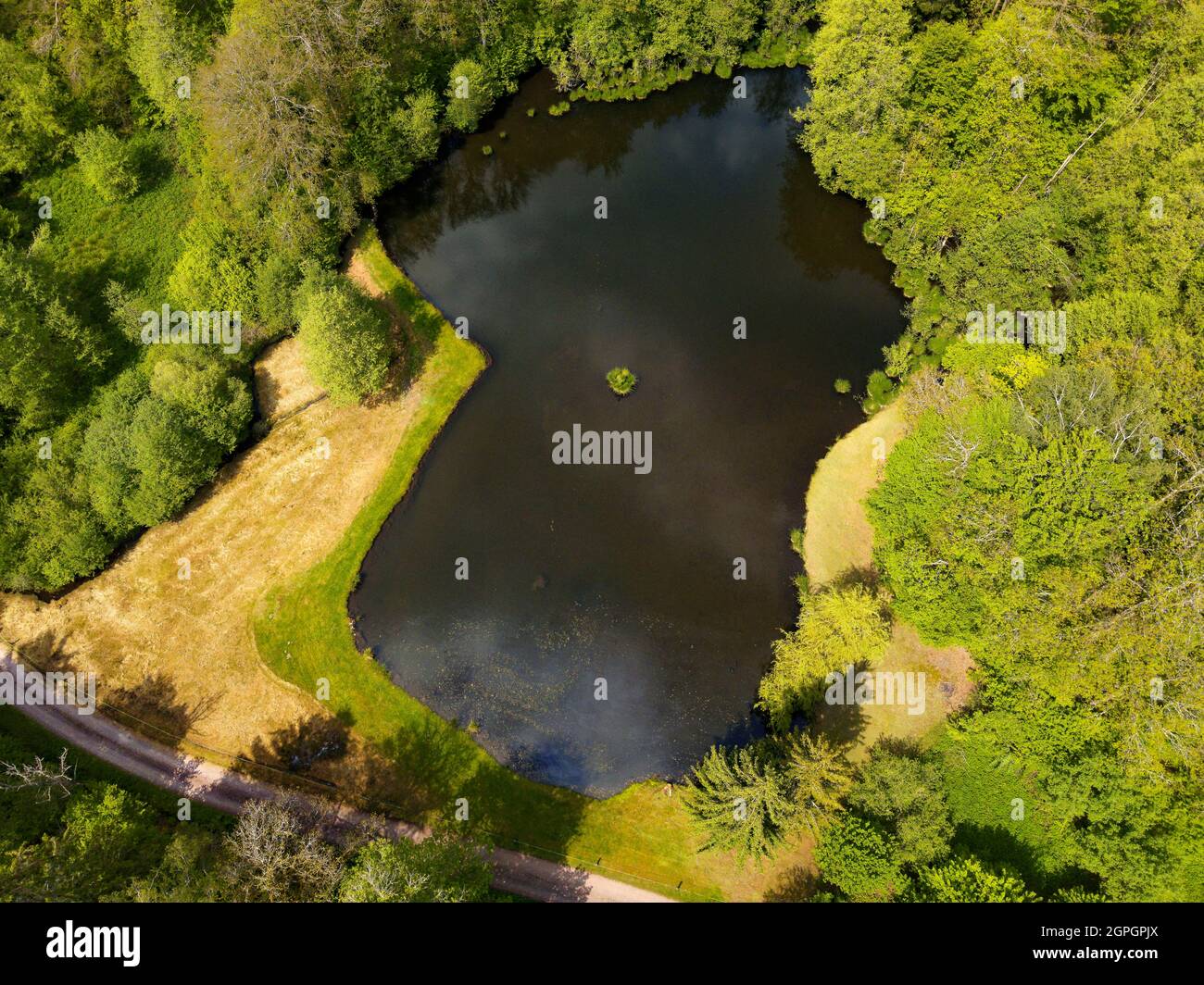 France, Haute Saone, Thousand Ponds Plateau (Plateau des Mille étangs ...