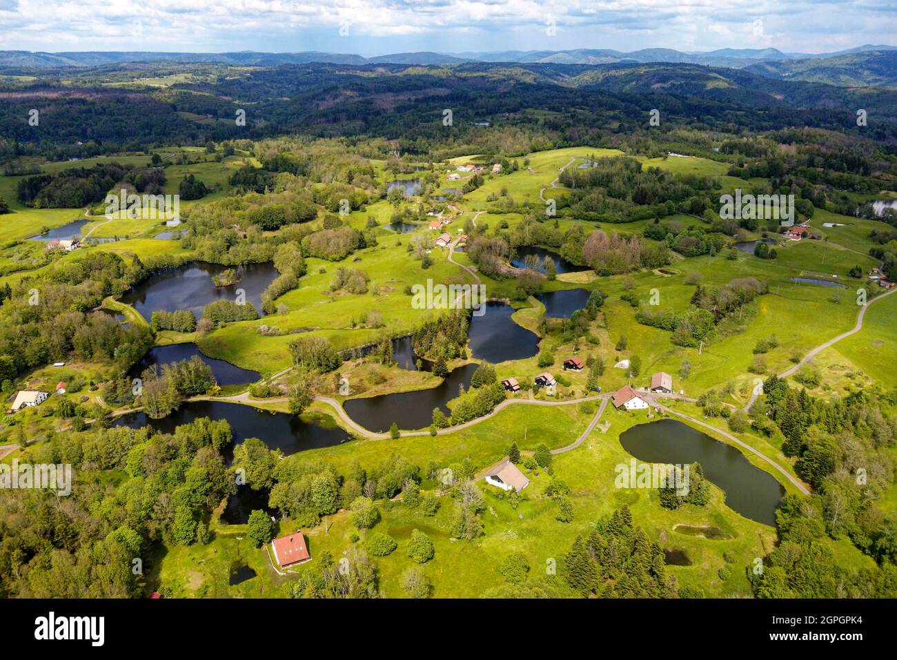 France, Haute Saone, Thousand Ponds Plateau (Plateau des Mille étangs ...