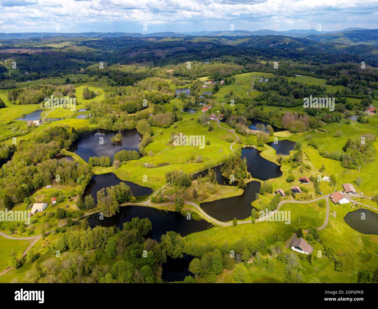 France, Haute Saone, Thousand Ponds Plateau (Plateau des Mille étangs ...