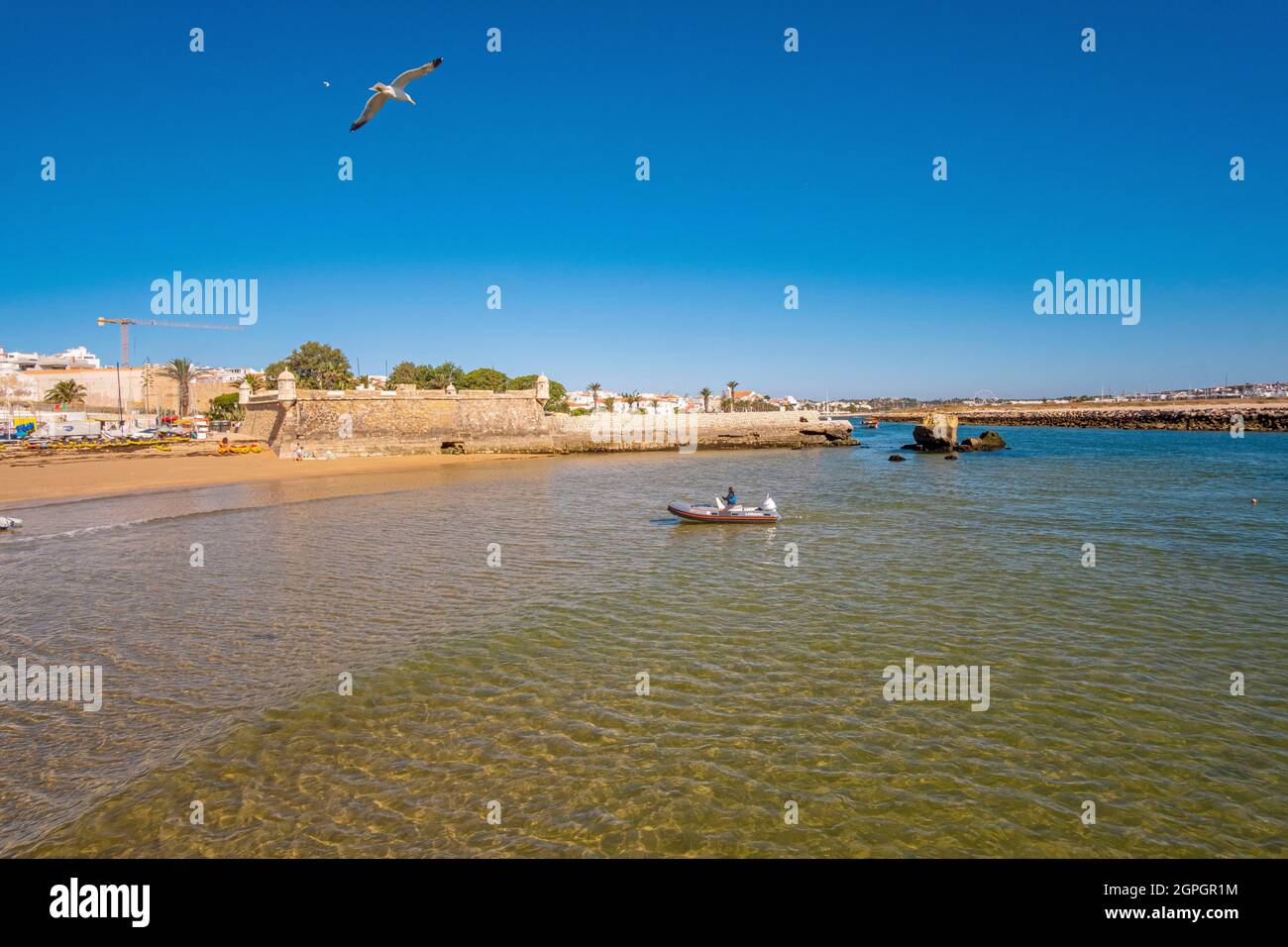 Birds of portugal hi-res stock photography and images - Alamy
