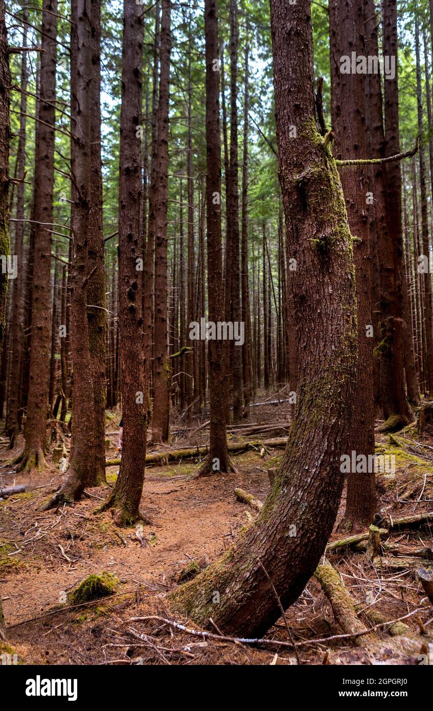 Alice lake loop hi-res stock photography and images - Alamy