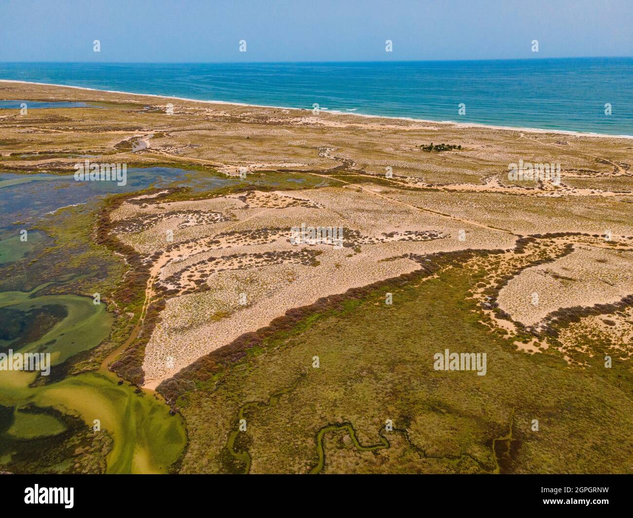 Portugal, Algarve, Faro, island or ilha do Farol, ilha da Culatra ...