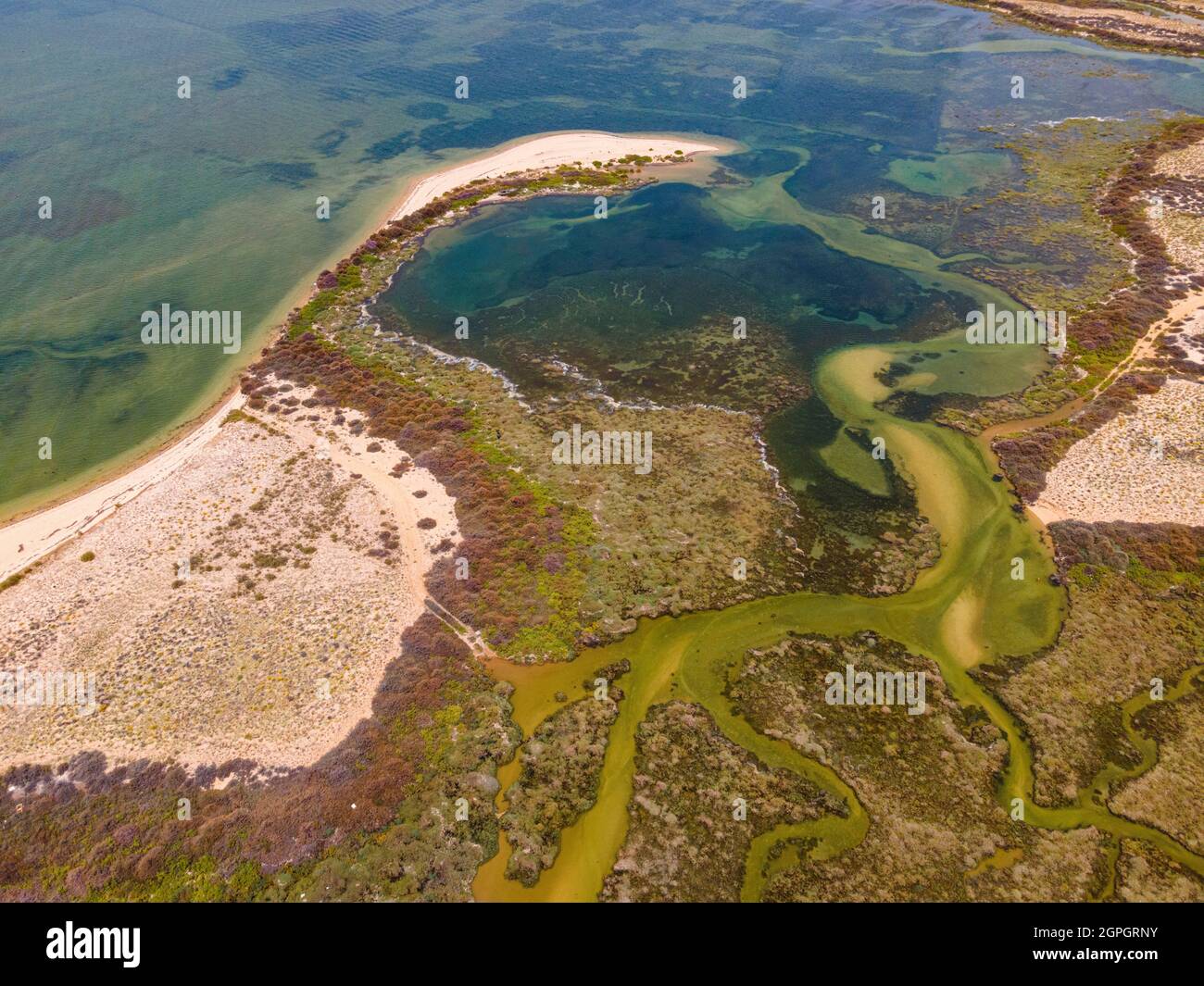 Portugal, Algarve, Faro, island or ilha do Farol, ilha da Culatra ...