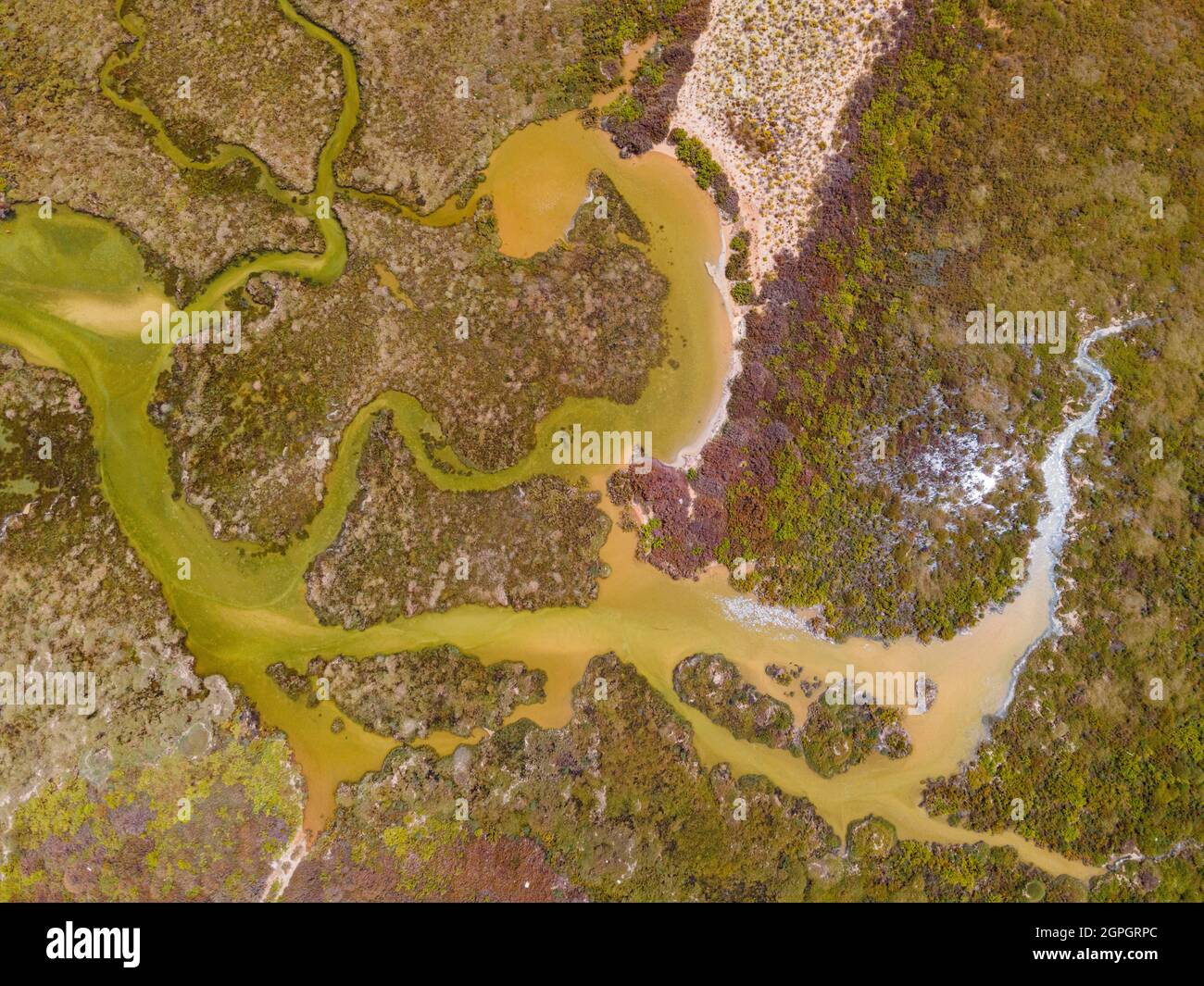 Portugal, Algarve, Faro, island or ilha do Farol, ilha da Culatra ...