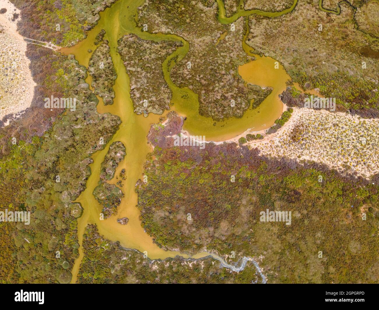 Portugal, Algarve, Faro, island or ilha do Farol, ilha da Culatra ...