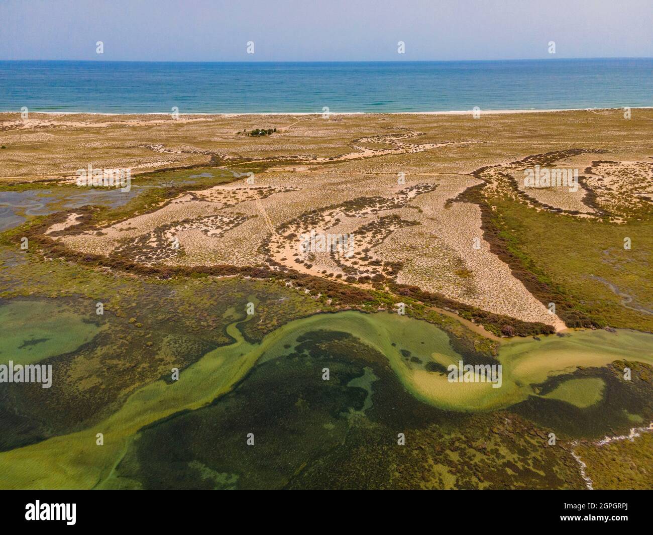 Portugal, Algarve, Faro, island or ilha do Farol, ilha da Culatra ...