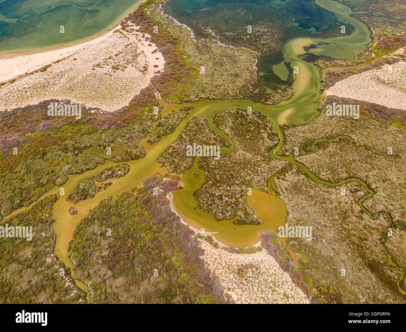 Portugal, Algarve, Faro, island or ilha do Farol, ilha da Culatra ...