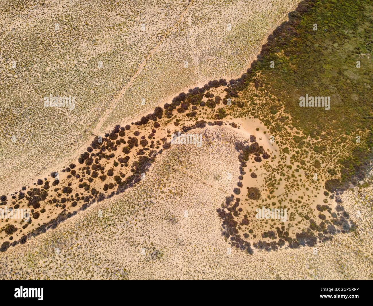 Portugal, Algarve, Faro, island or ilha do Farol, ilha da Culatra ...